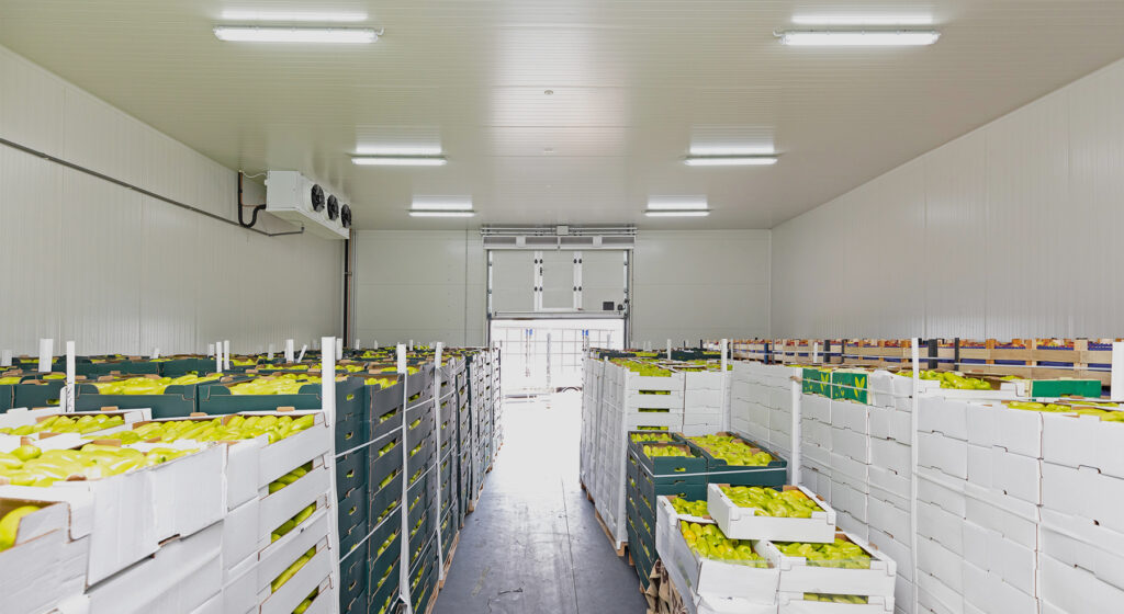 Top 6 Trends in Cold Food Warehousing
